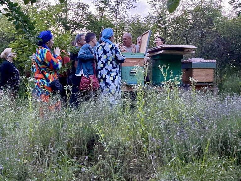 Apitherapy and Apipuncture Workshops – Apitherapy.com